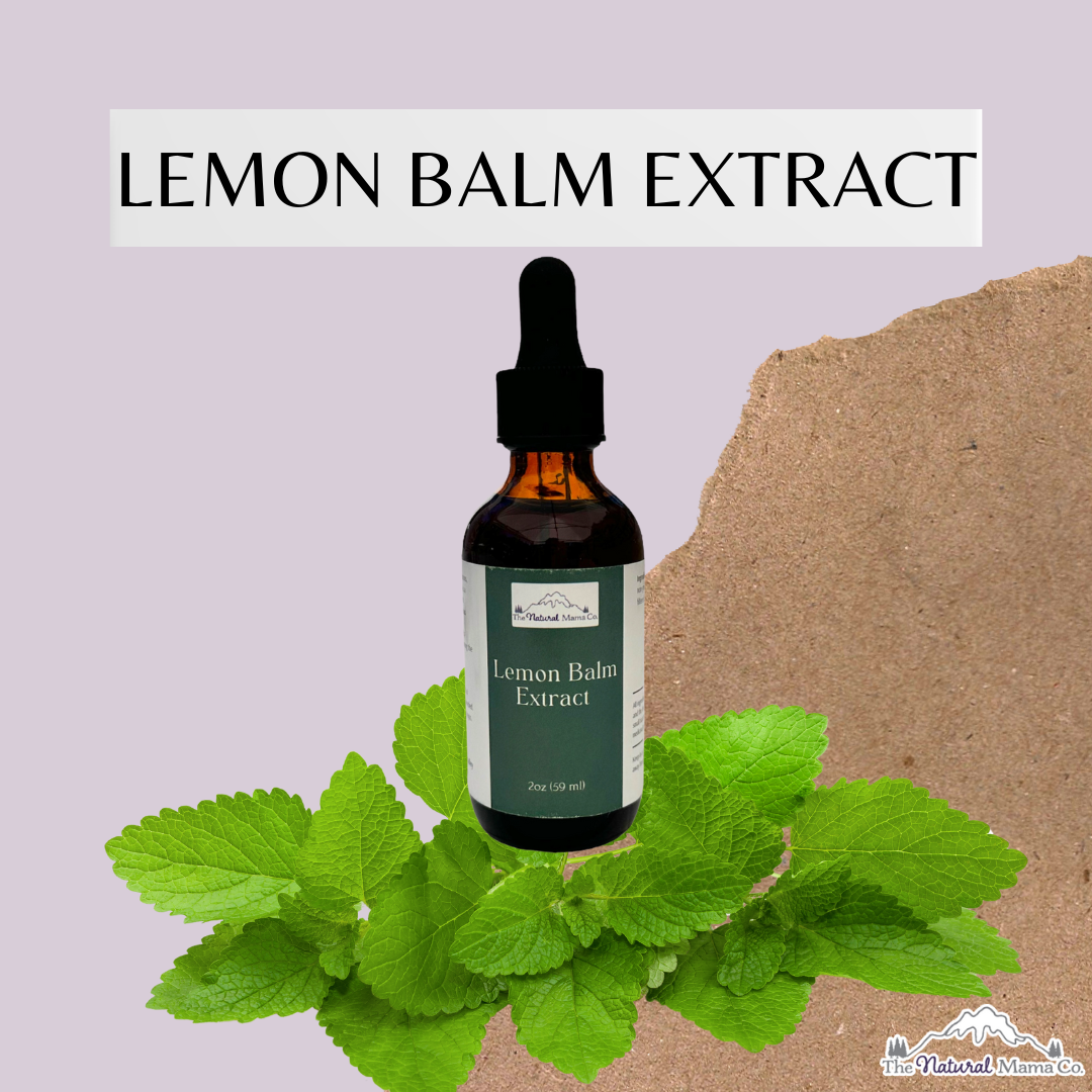 Lemon Balm Tincture: A Zest for Wellness for the Whole Family – The ...