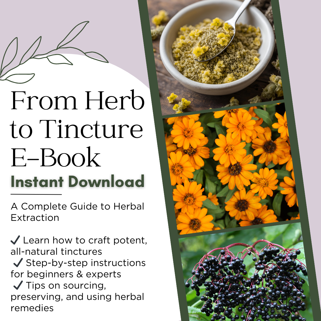 From Herb to Tincture E-book – The Natural Mama Co.